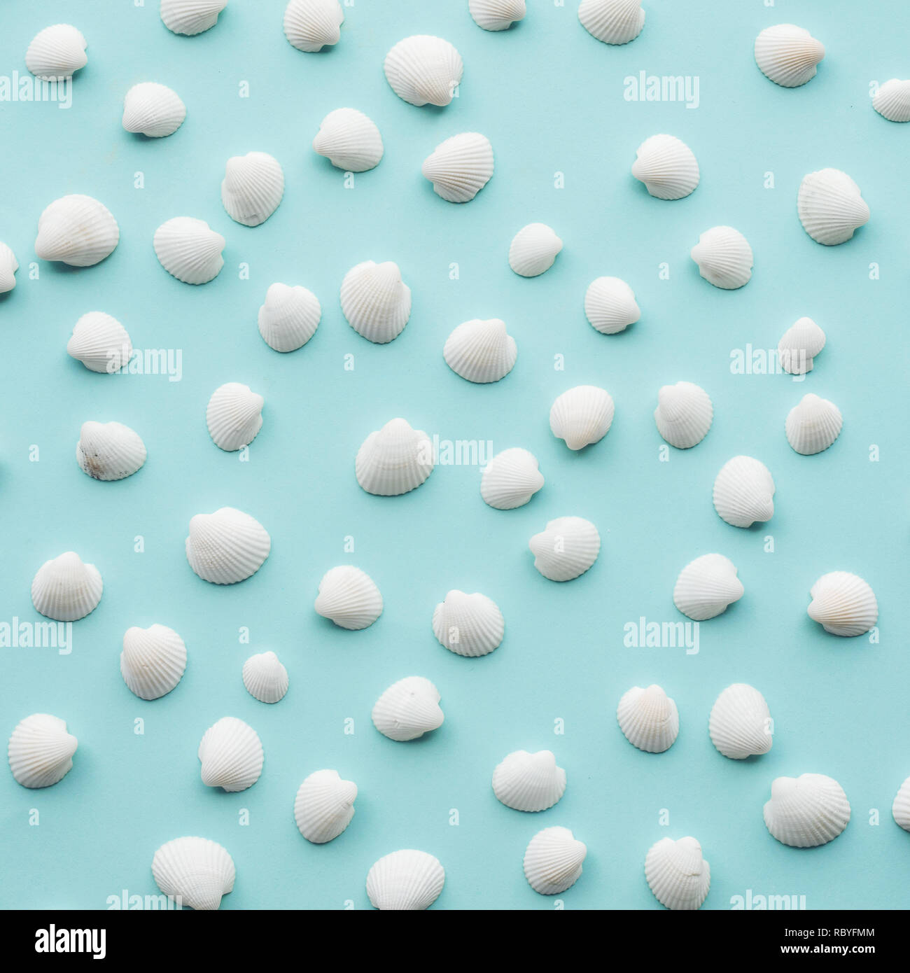 Top view of seashell set with copy space on color background. Summer ...