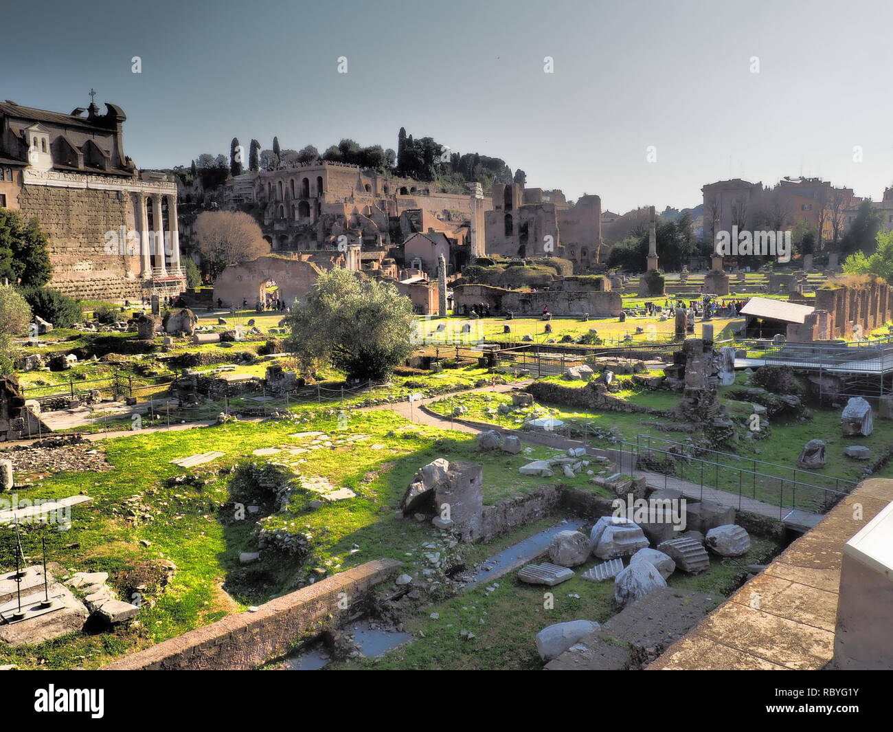 Excavation colosseum hi-res stock photography and images - Alamy