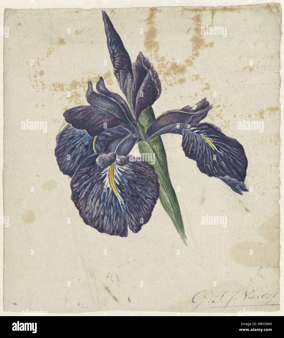 Van os hi-res stock photography and images - Alamy