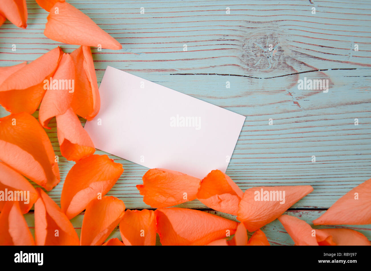 Visiting card in rose petals on rustic wooden background romantic ...