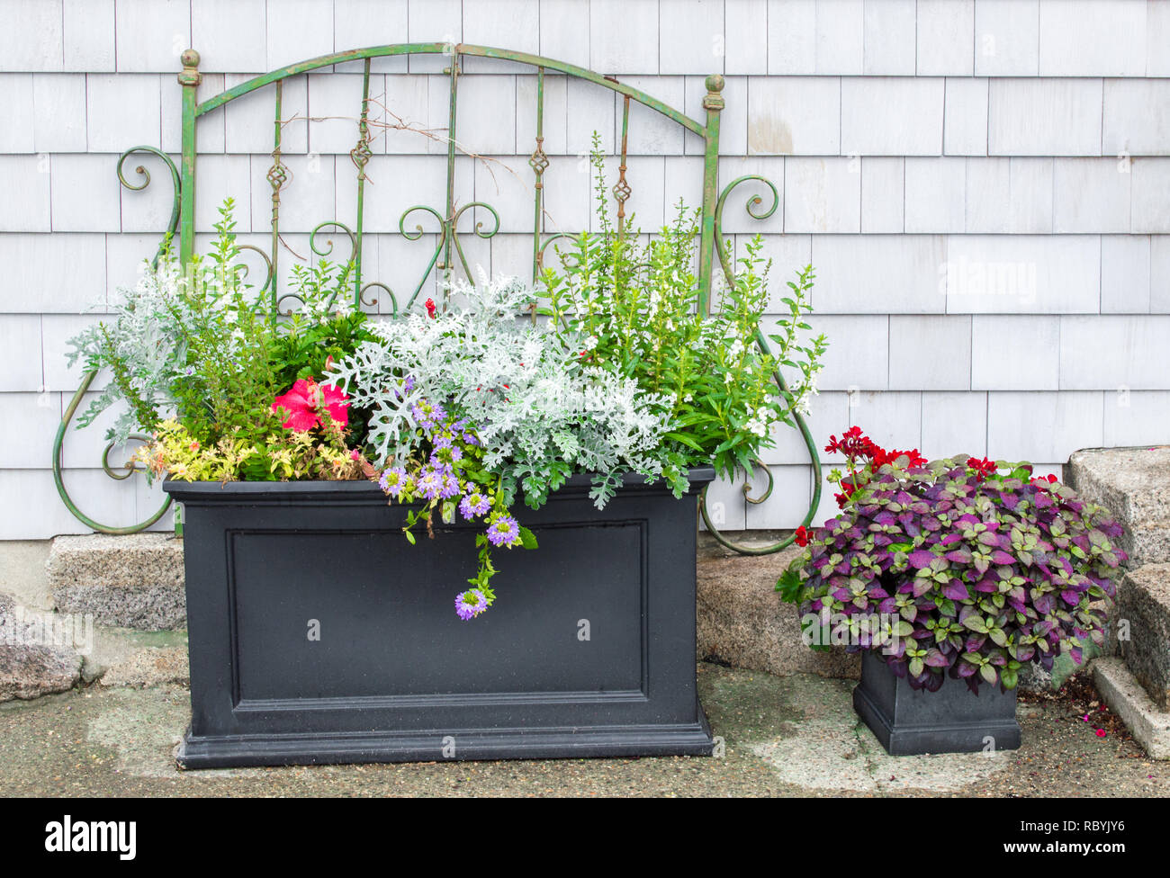 Cement Planter High Resolution Stock Photography and Images - Alamy