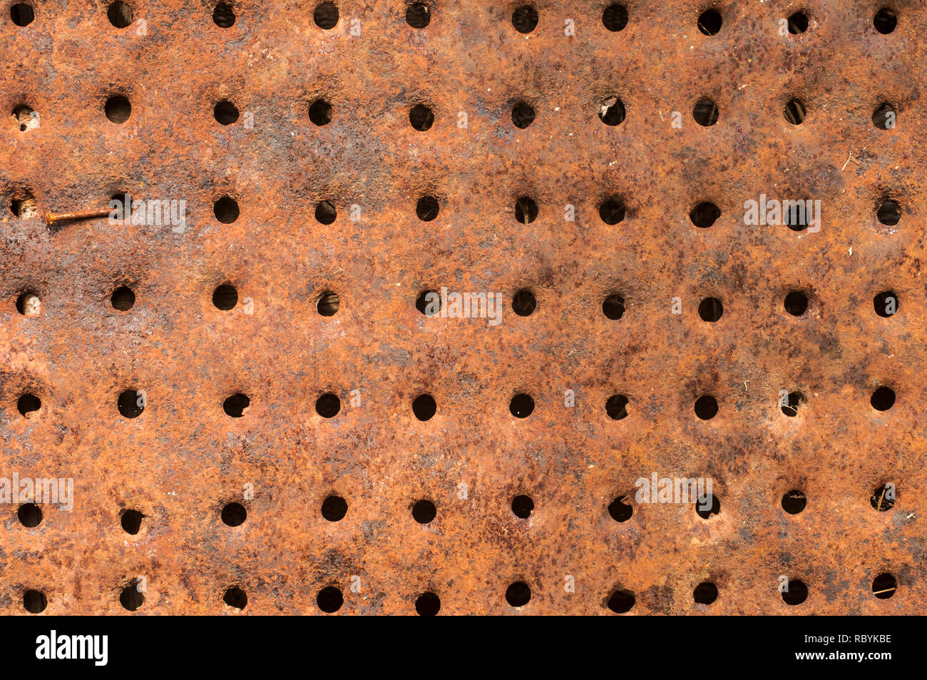 Old rusty weathered corroded iron metal tin surface with holes closeup ...