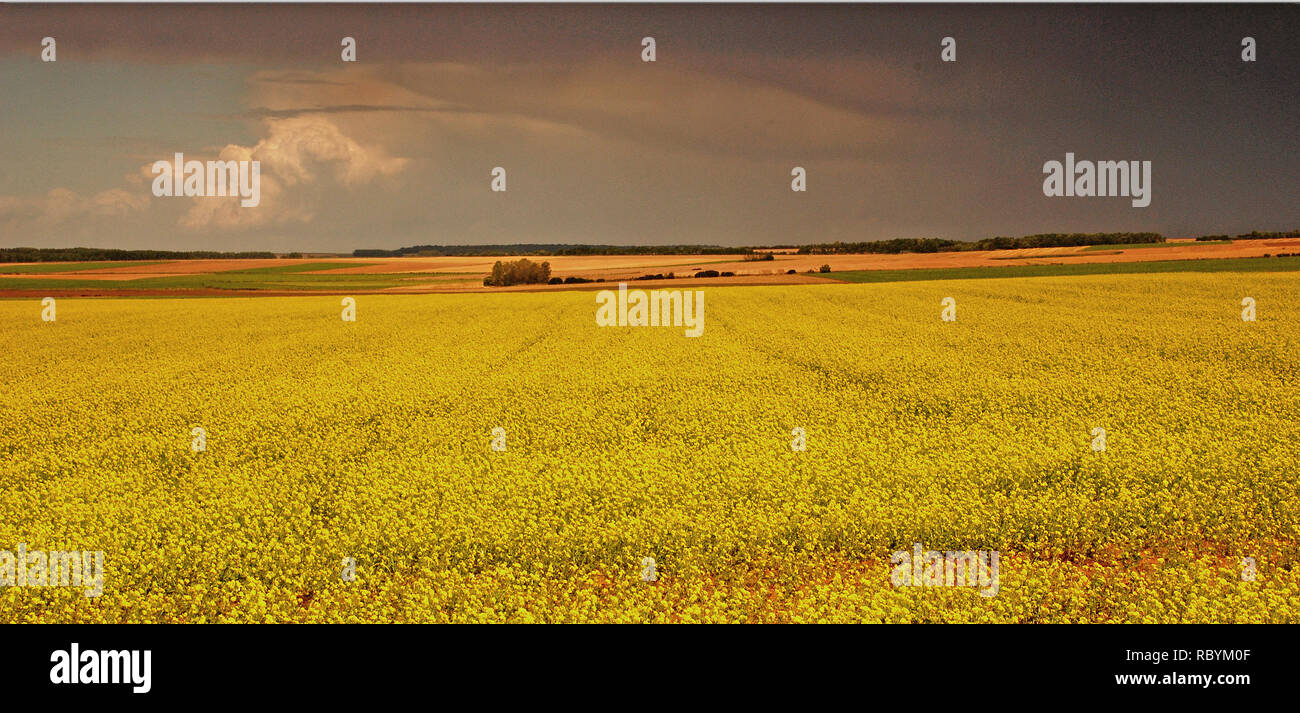 Champagne landscape hi-res stock photography and images - Alamy
