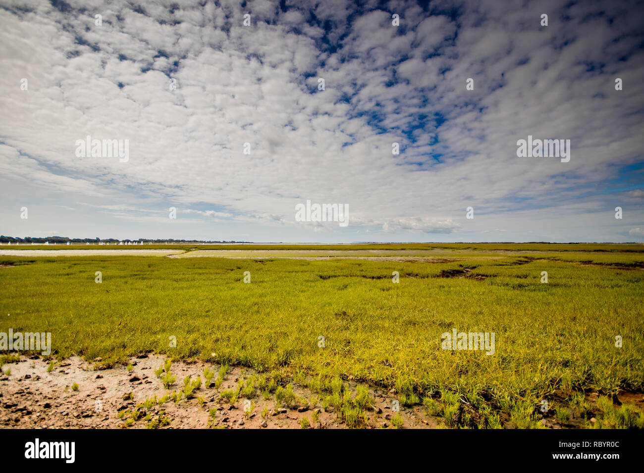Chidham, Chichester Harbour, West Sussex, UK Stock Photo - Alamy