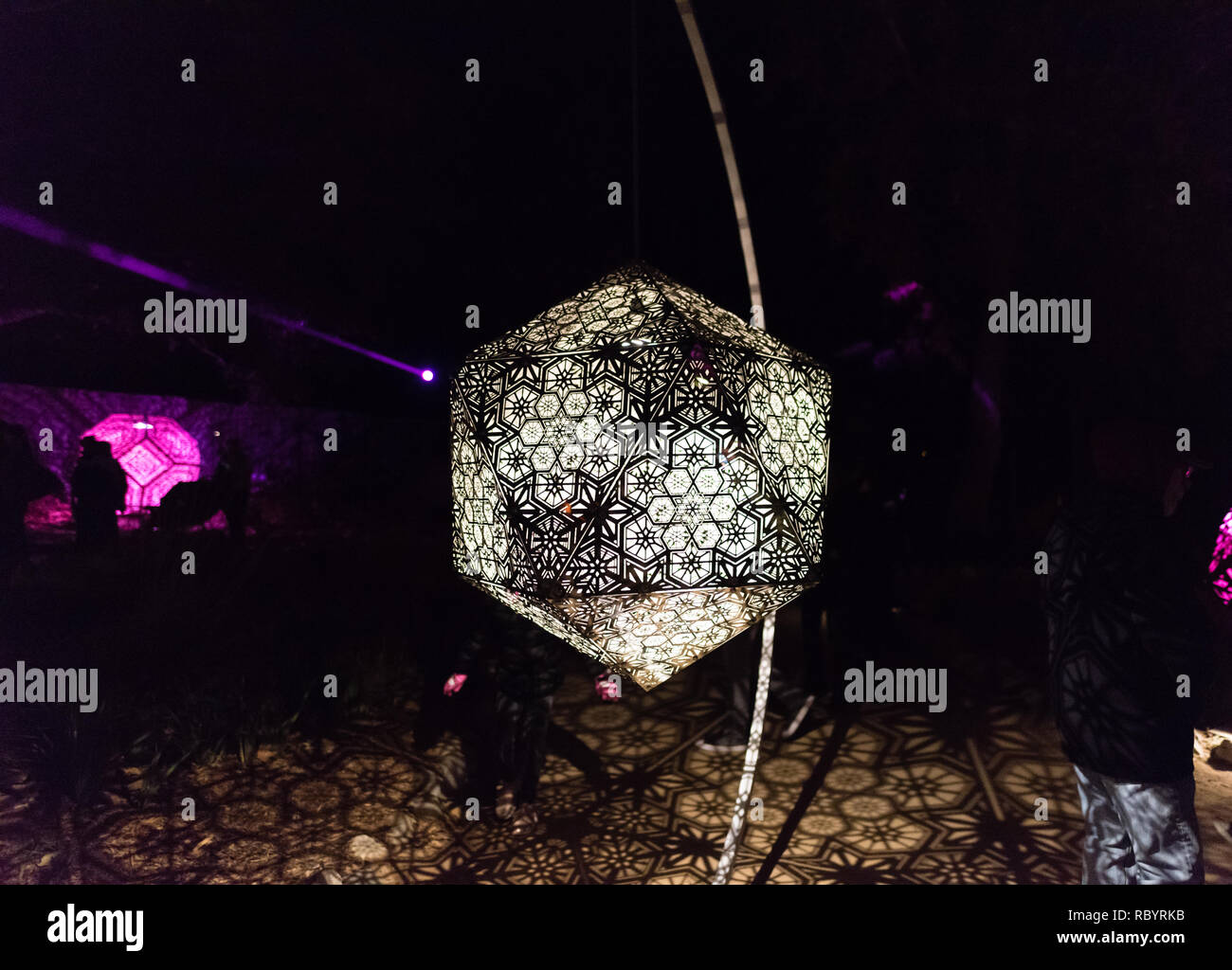 Enchanted: Forest of Light - beautiful rotating glowing shape ...