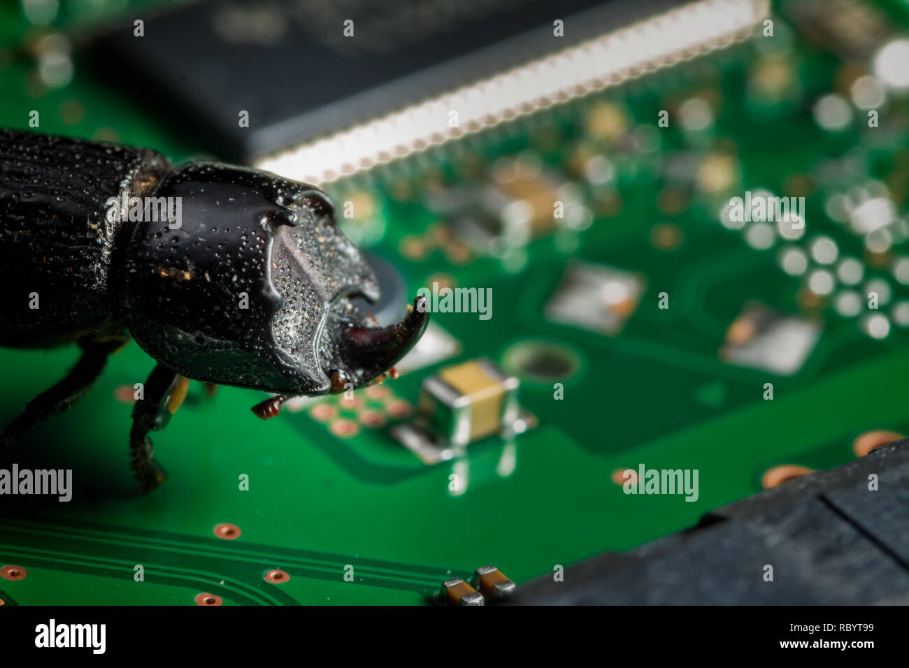 a computer bug causing trouble - on a circuit board Stock Photo - Alamy