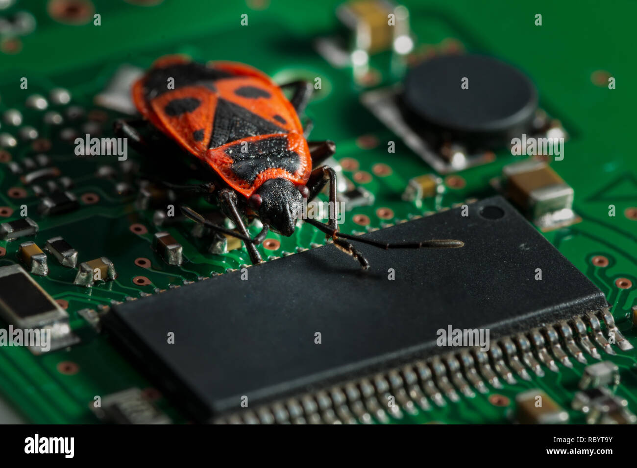 a computer bug causing trouble - on a circuit board Stock Photo - Alamy
