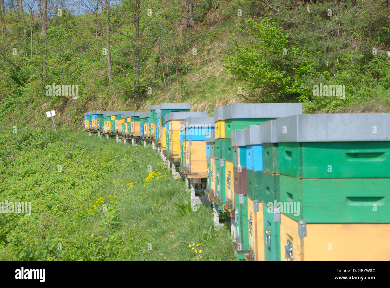 Hives for beekeeping Stock Photo - Alamy