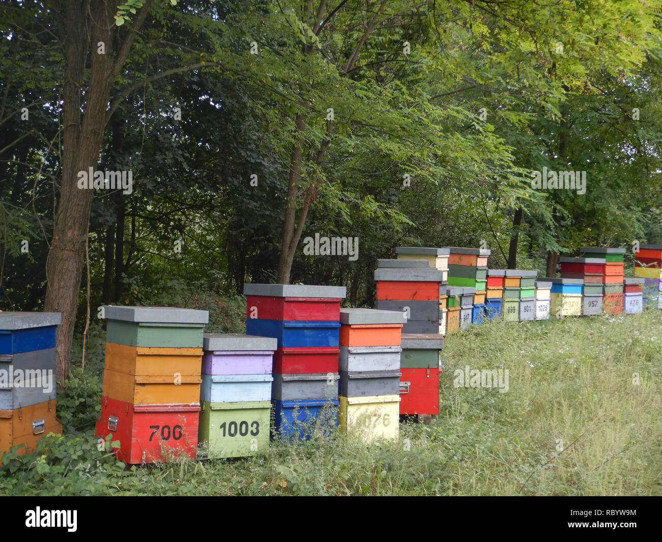 Some hives for the breeding of bees Stock Photo - Alamy