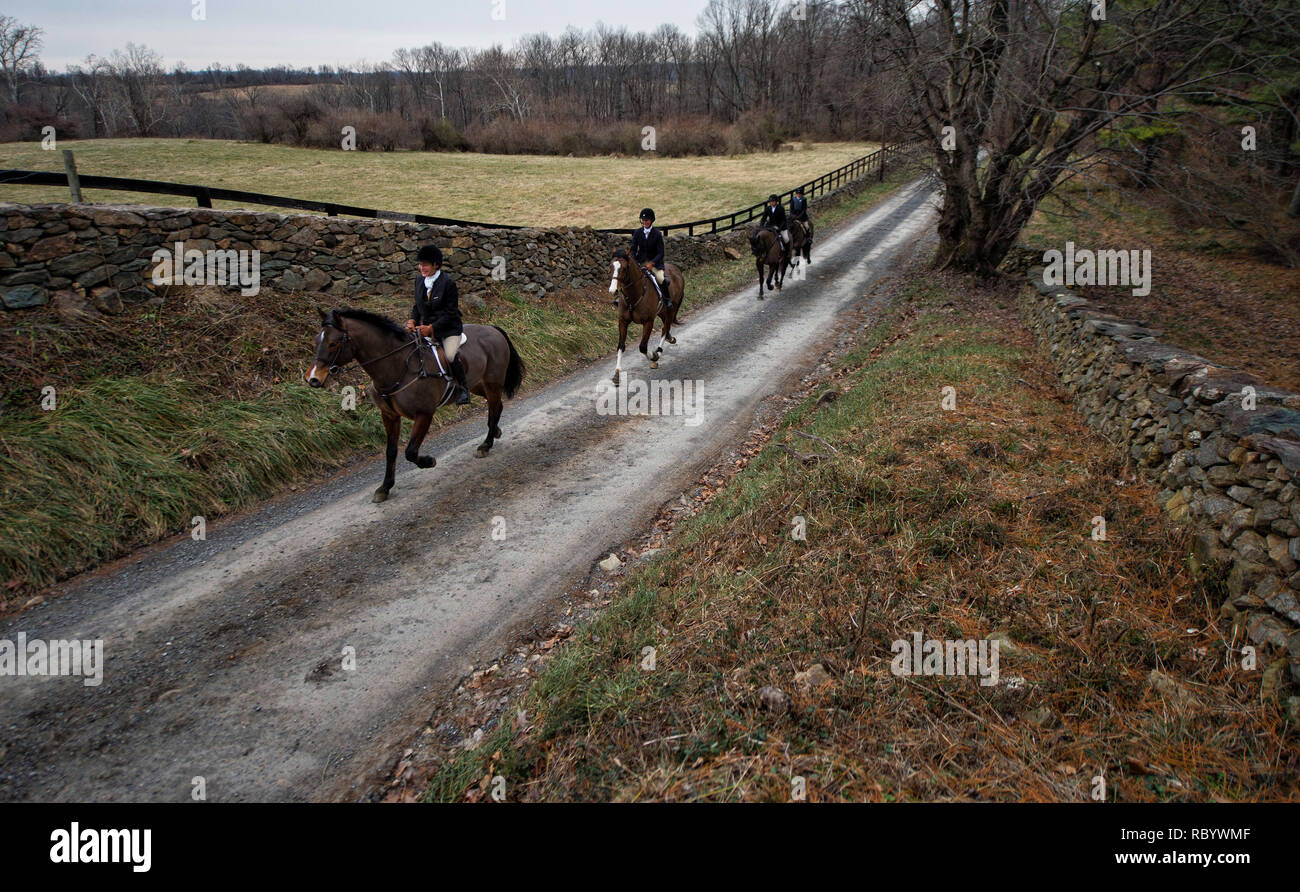 UNITED STATES - 01-12-2019: Riders with the Piedmont Hunt make their ...