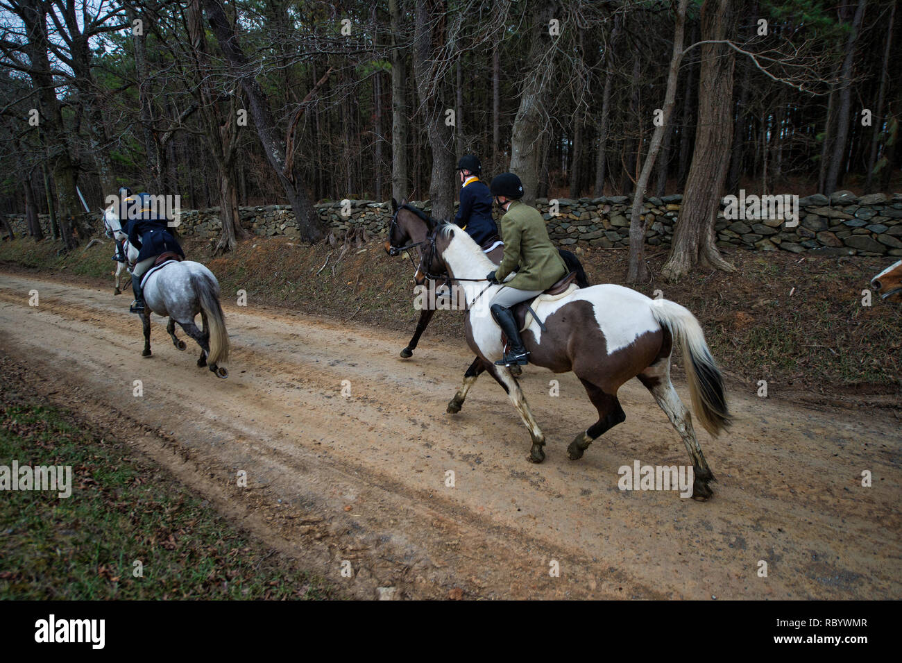 UNITED STATES - 01-12-2019: Riders with the Piedmont Hunt make their ...