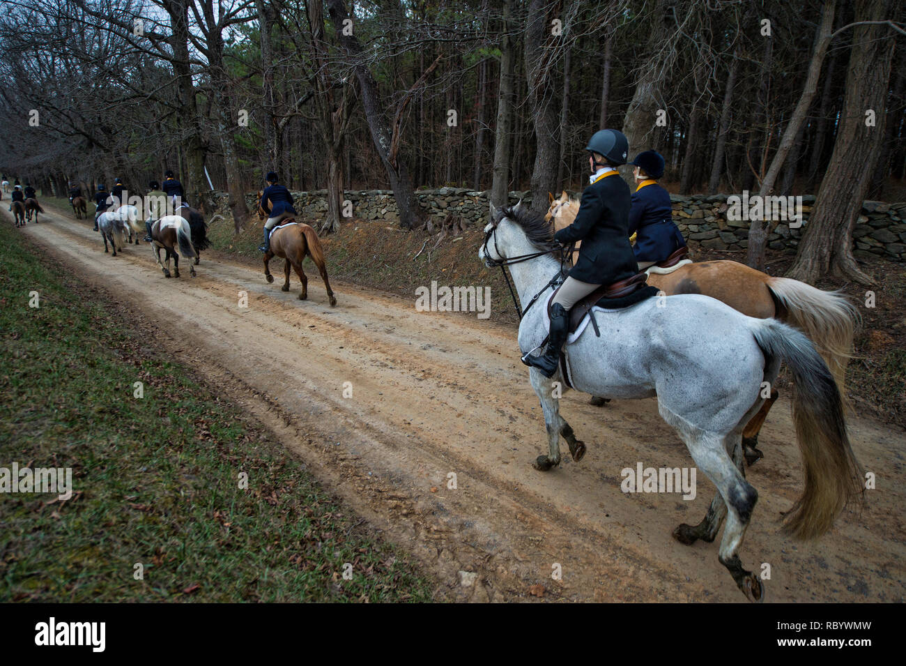 UNITED STATES - 01-12-2019: Riders with the Piedmont hunt make their ...