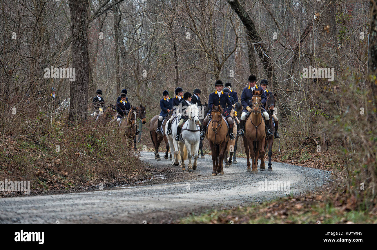 UNITED STATES - 01-12-2019: Riders with the Piedmont hunt make their ...