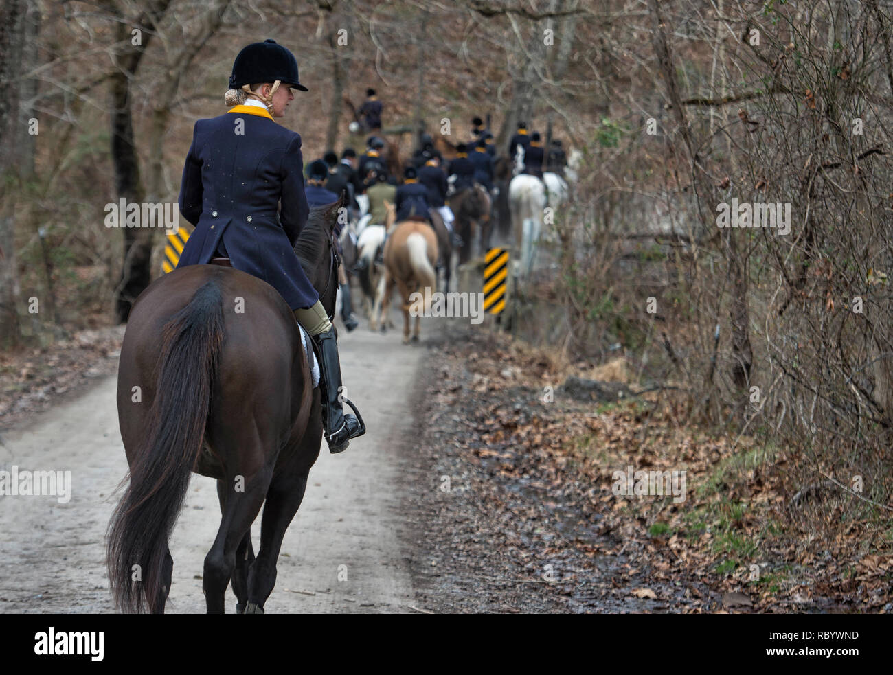 UNITED STATES - 01-12-2019: Riders with the Piedmont hunt make their ...