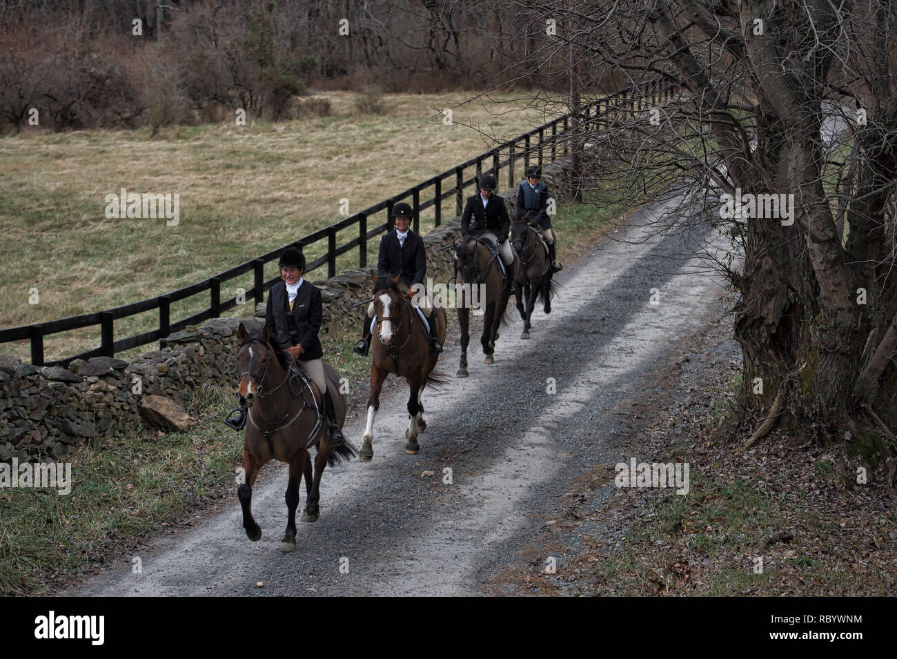 UNITED STATES - 01-12-2019: Riders with the Piedmont hunt make their ...