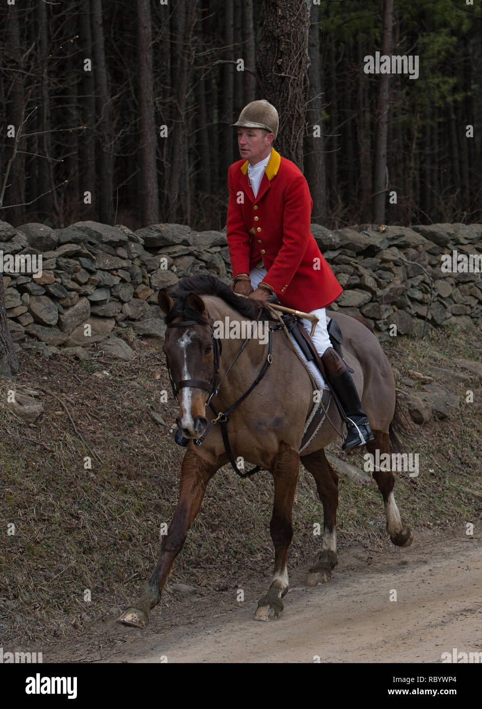 UNITED STATES - 01-12-2019: Piedmont Fox Hounds Huntsmen Jordan Hicks ...