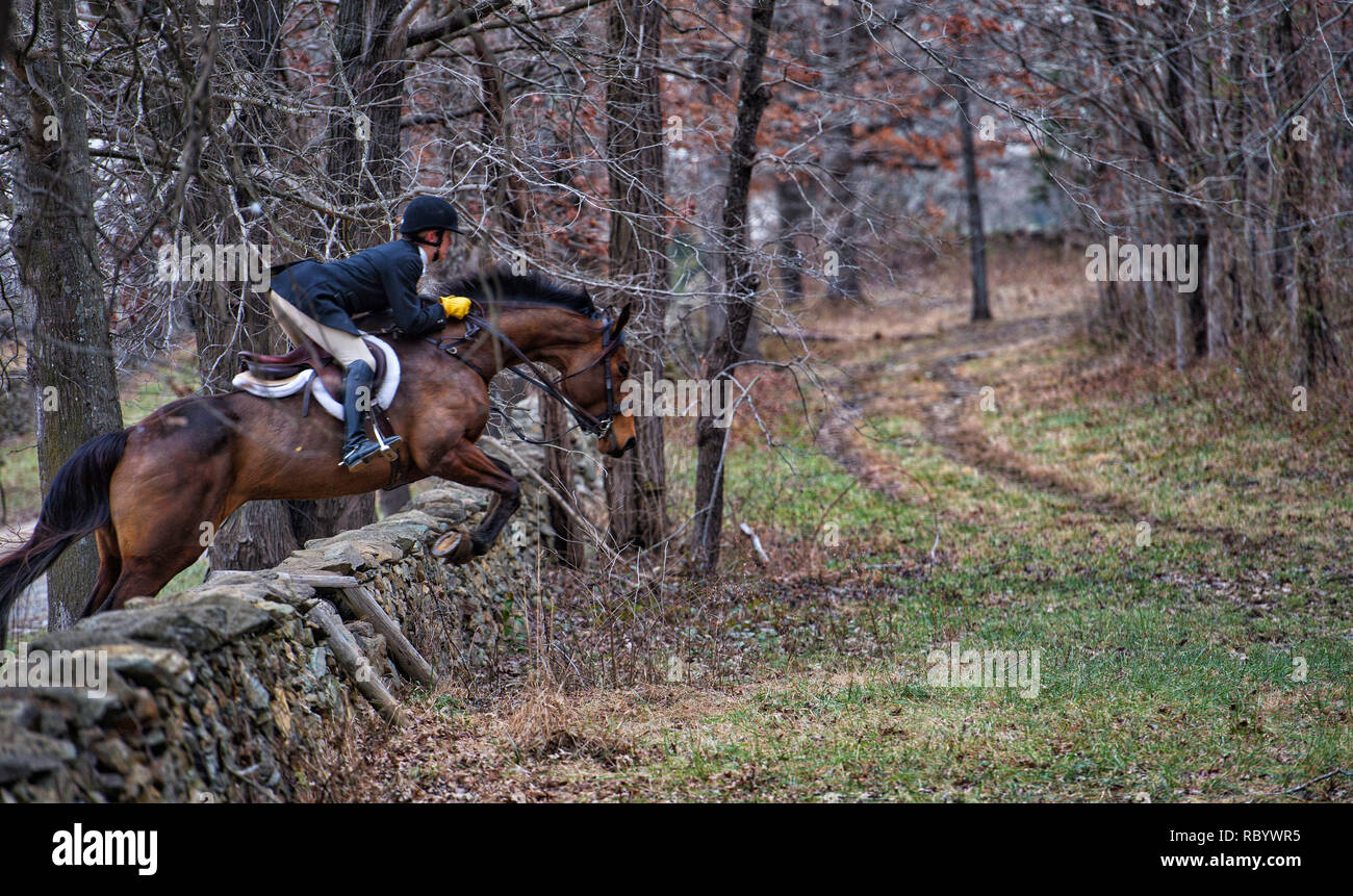 Fox hunt jump hi-res stock photography and images - Alamy