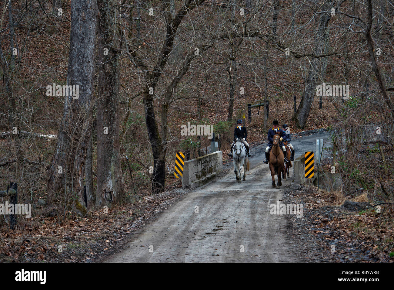 UNITED STATES - 01-12-2019: Riders with the Piedmont hunt make their ...