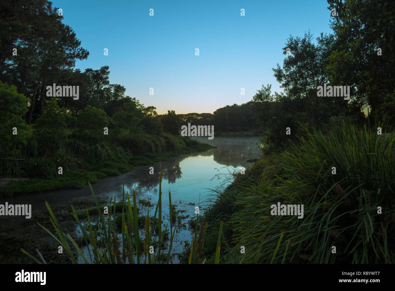 morning light and a still pond Stock Photo - Alamy