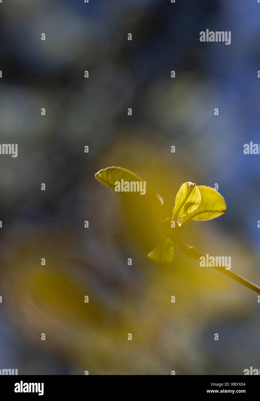 Spring and summer seasons hi-res stock photography and images - Alamy