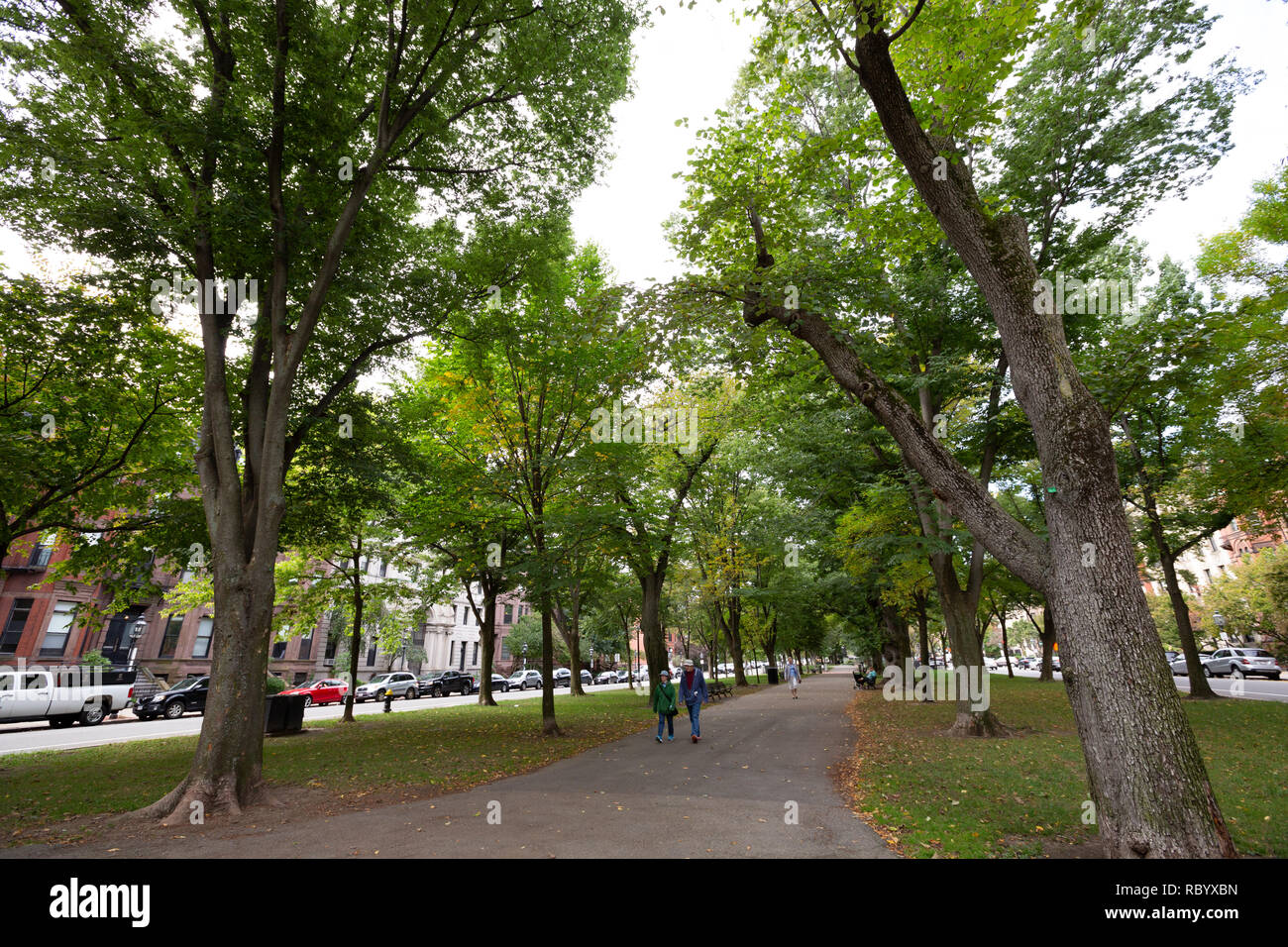 Commonwealth avenue mall boston hi-res stock photography and images - Alamy
