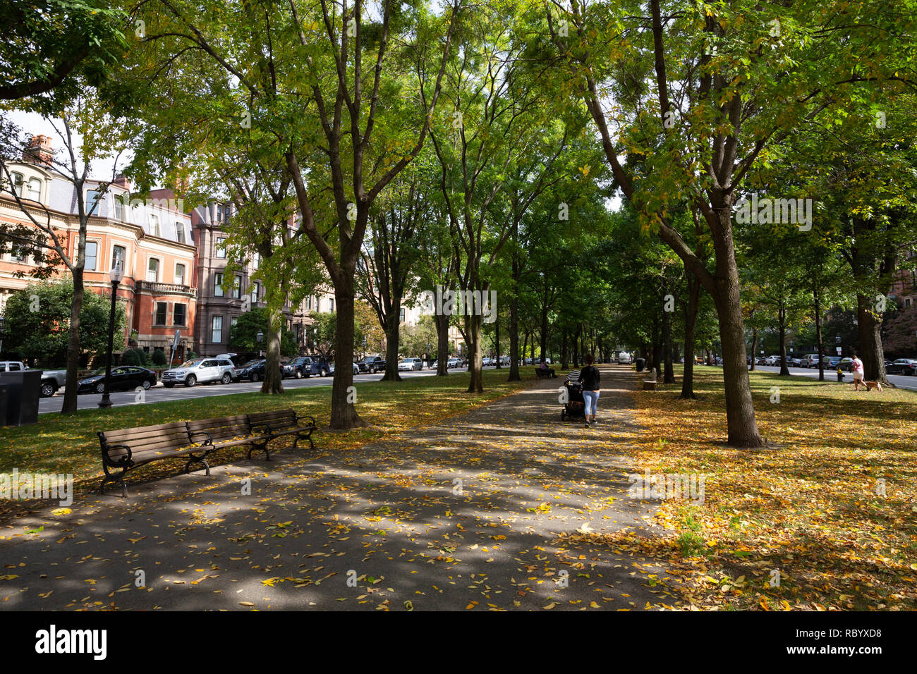 The commonwealth avenue mall hi-res stock photography and images - Alamy