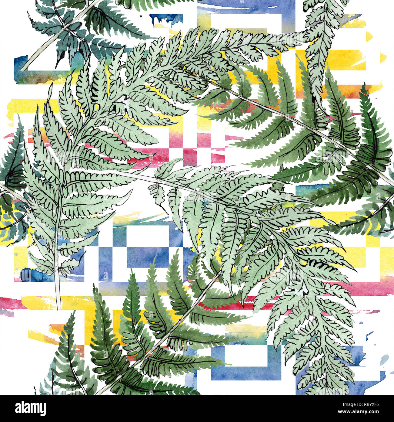 Fern green leaf. Plant botanical floral foliage. Watercolor background ...