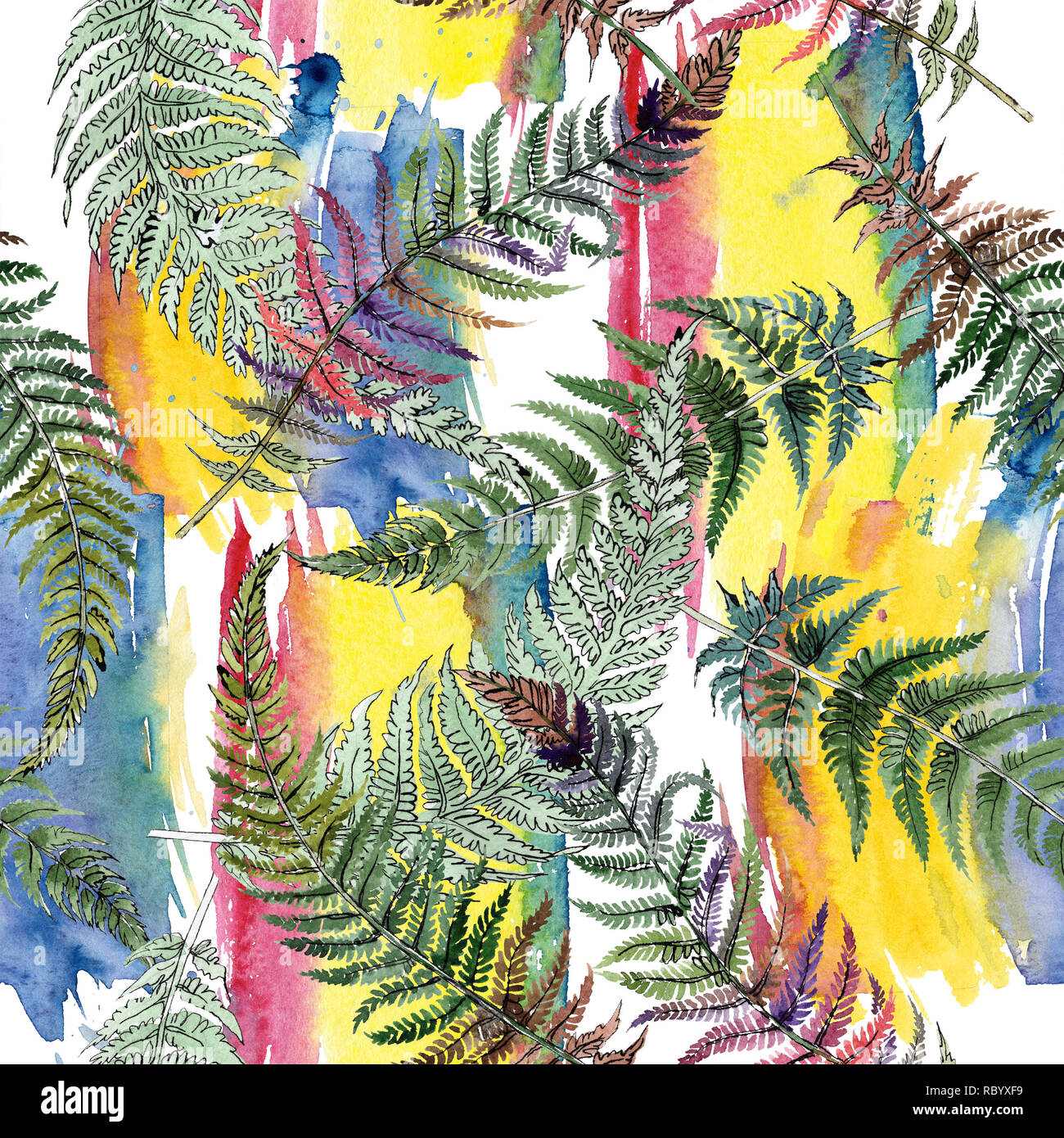 Fern green leaf. Plant botanical floral foliage. Watercolor background ...