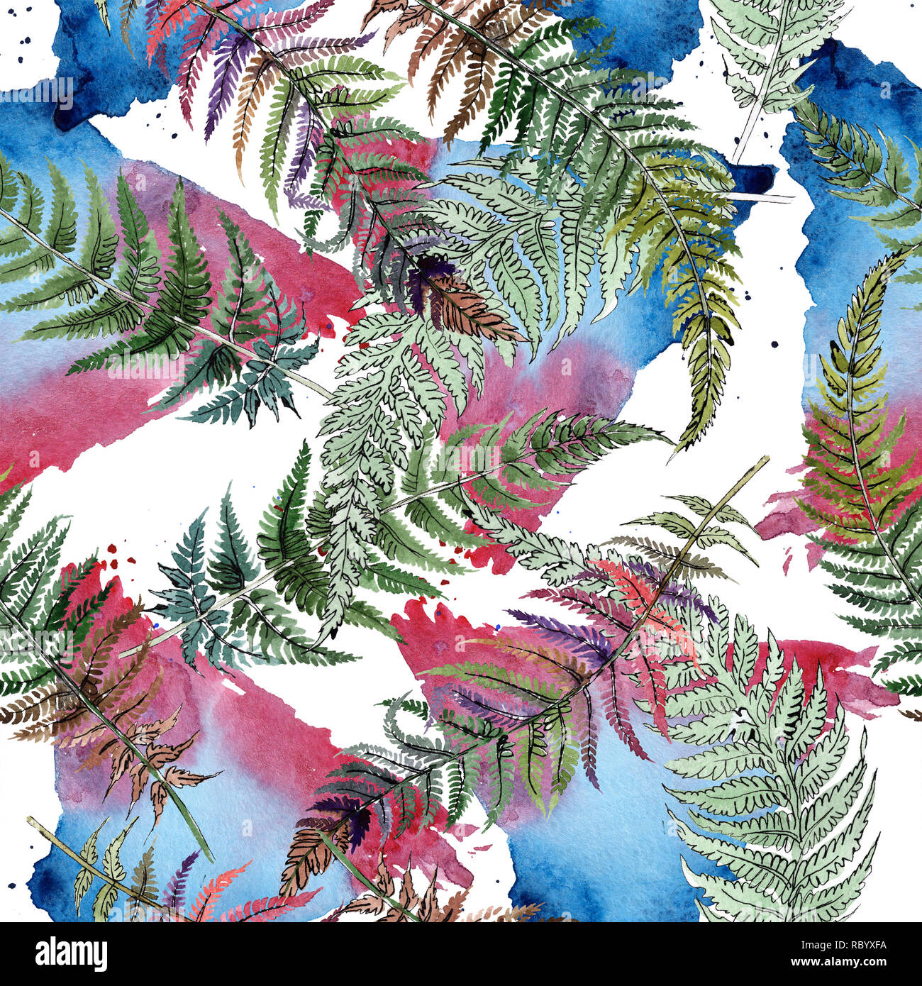 Fern green leaf. Plant botanical floral foliage. Watercolor background ...