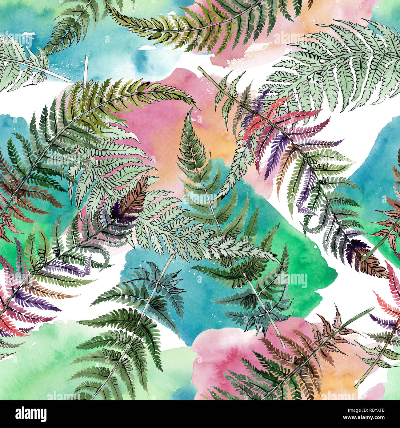 Fern green leaf. Plant botanical floral foliage. Watercolor background ...