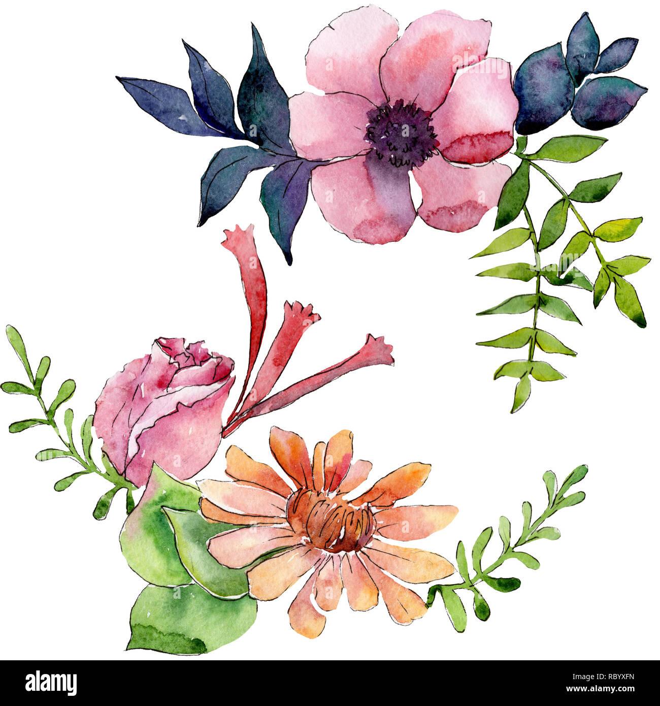 Bouquet floral botanical flowers. Watercolor background illustration ...