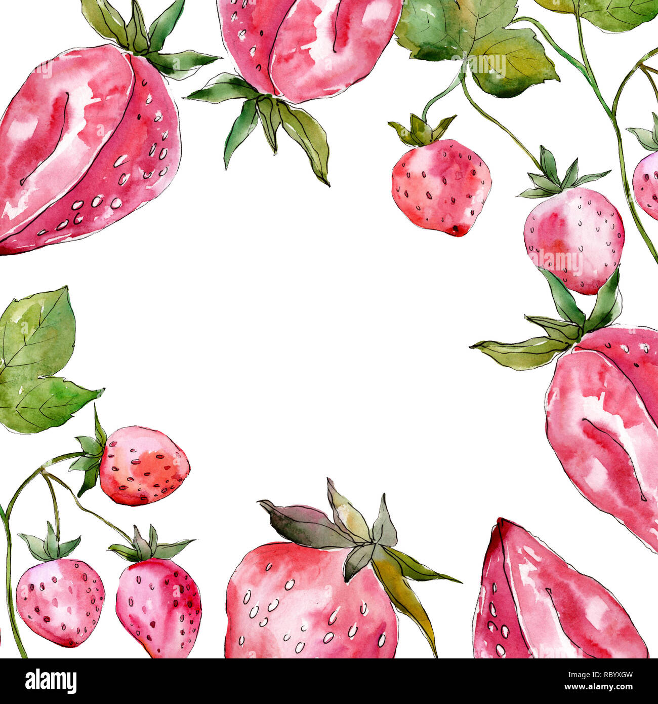 Strawberry fruits. Green leaf. Watercolor background illustration set ...