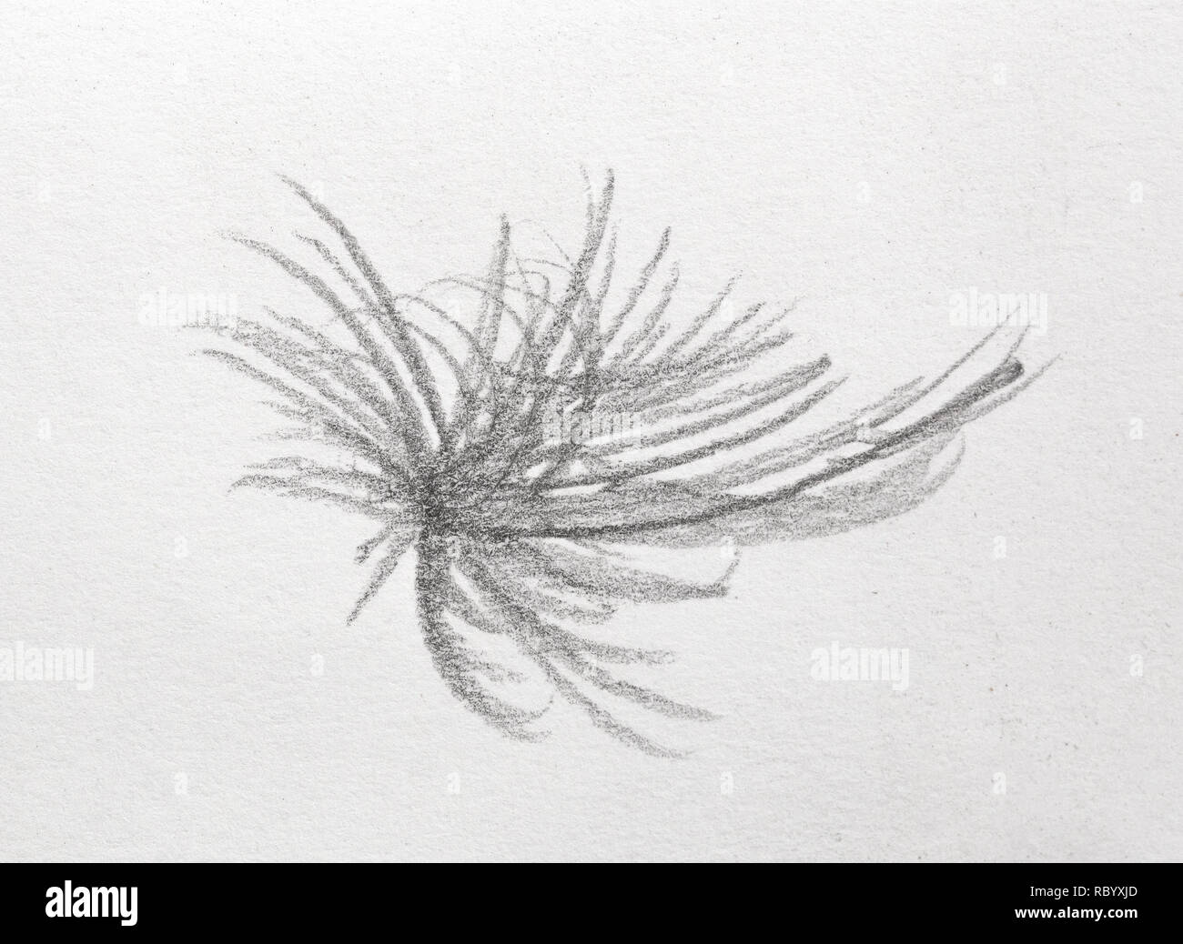 multiple linear pencil scratches on blank paper surface Stock Photo - Alamy