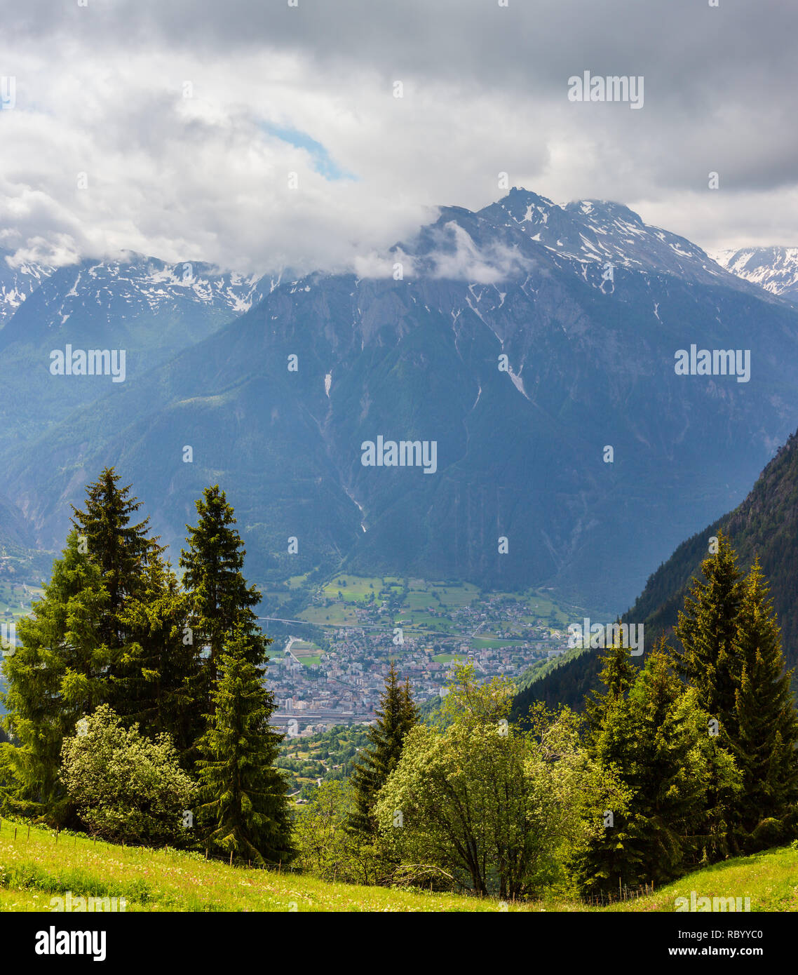 Summer Alps mountain landscape with yellow wild flowers on grassland ...
