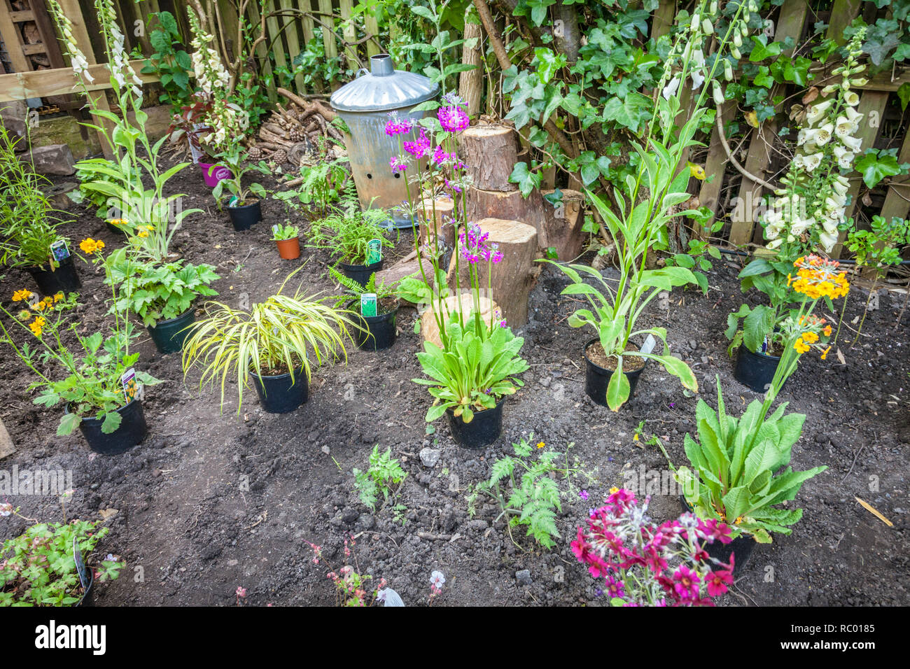 Garden design layout hi-res stock photography and images - Alamy
