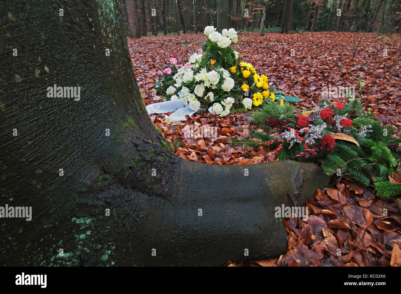 Friedwald High Resolution Stock Photography and Images - Alamy