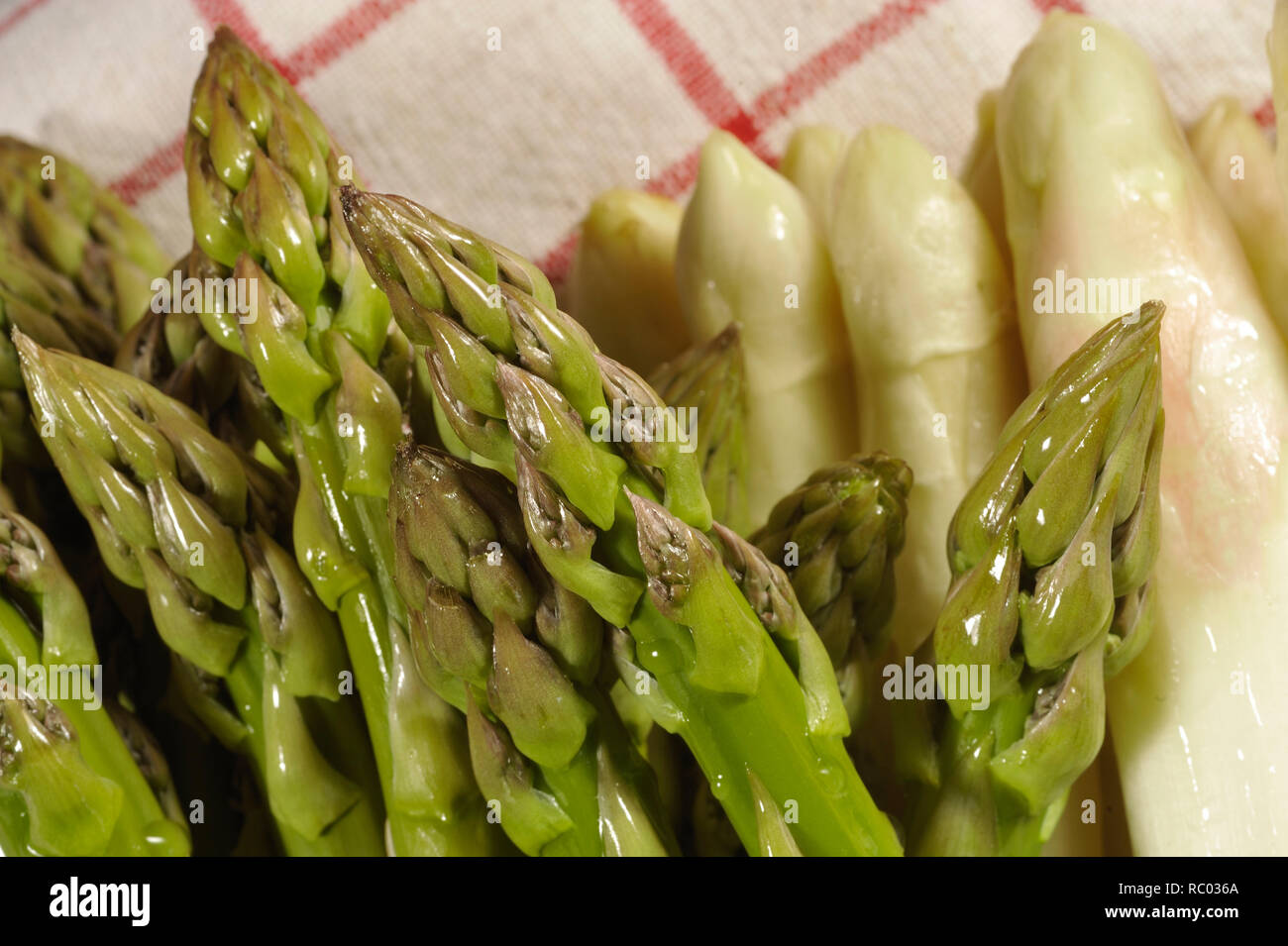 grüner und weißer Stangenspargel | green and white Asparagus Stock ...