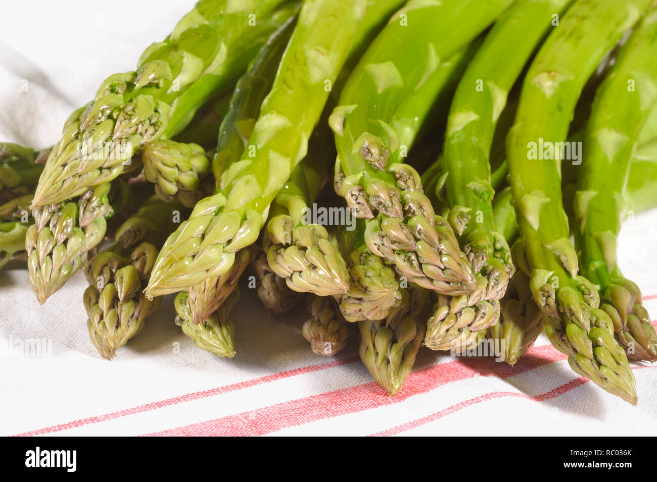 Stangenspargel hi-res stock photography and images - Alamy
