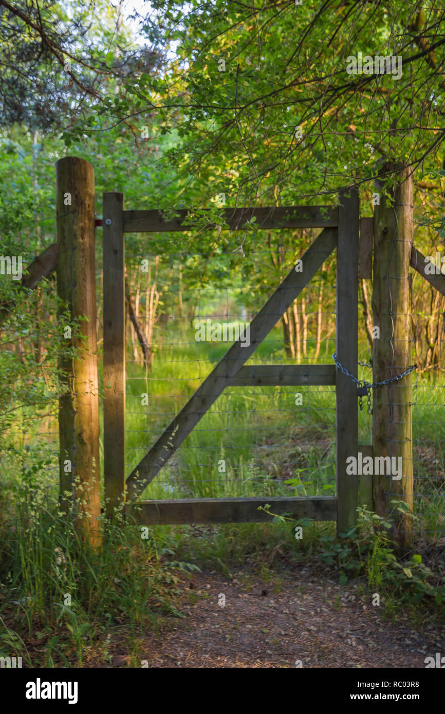 Shut off wooden gate in the forest Stock Photo - Alamy