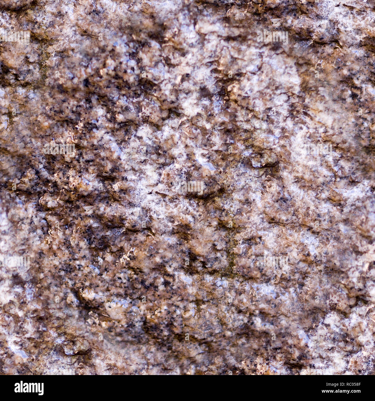 Seamless Cave Wall Texture