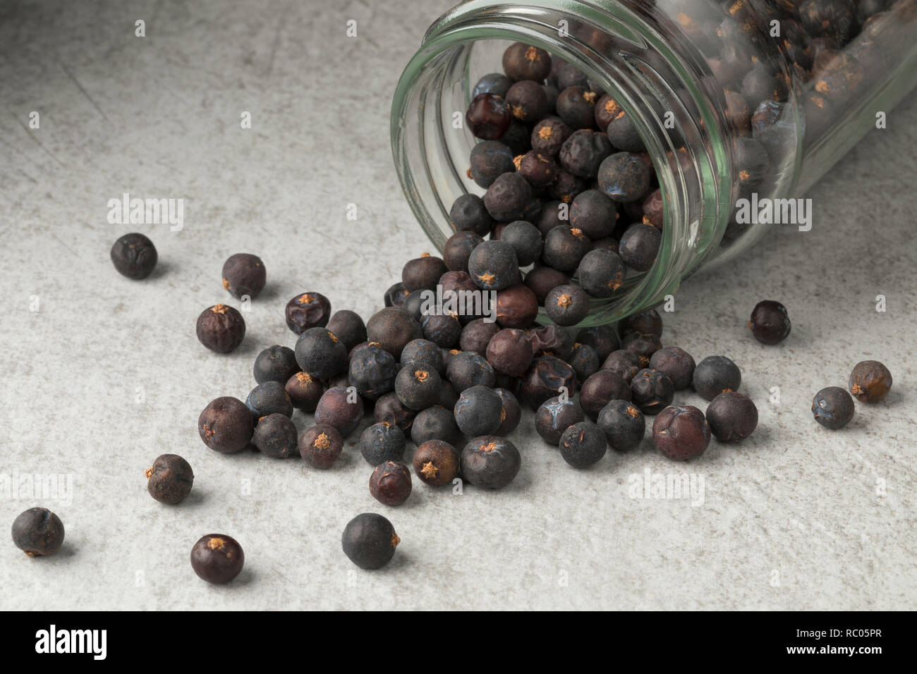 Juniper cone hi-res stock photography and images - Alamy