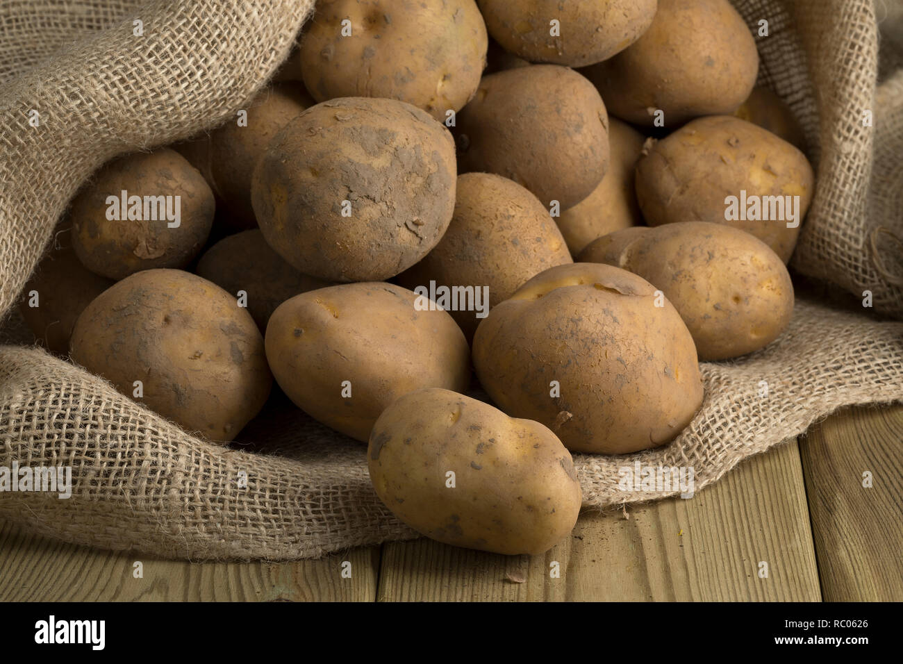 Opperdoes potatoes holland hi-res stock photography and images - Alamy