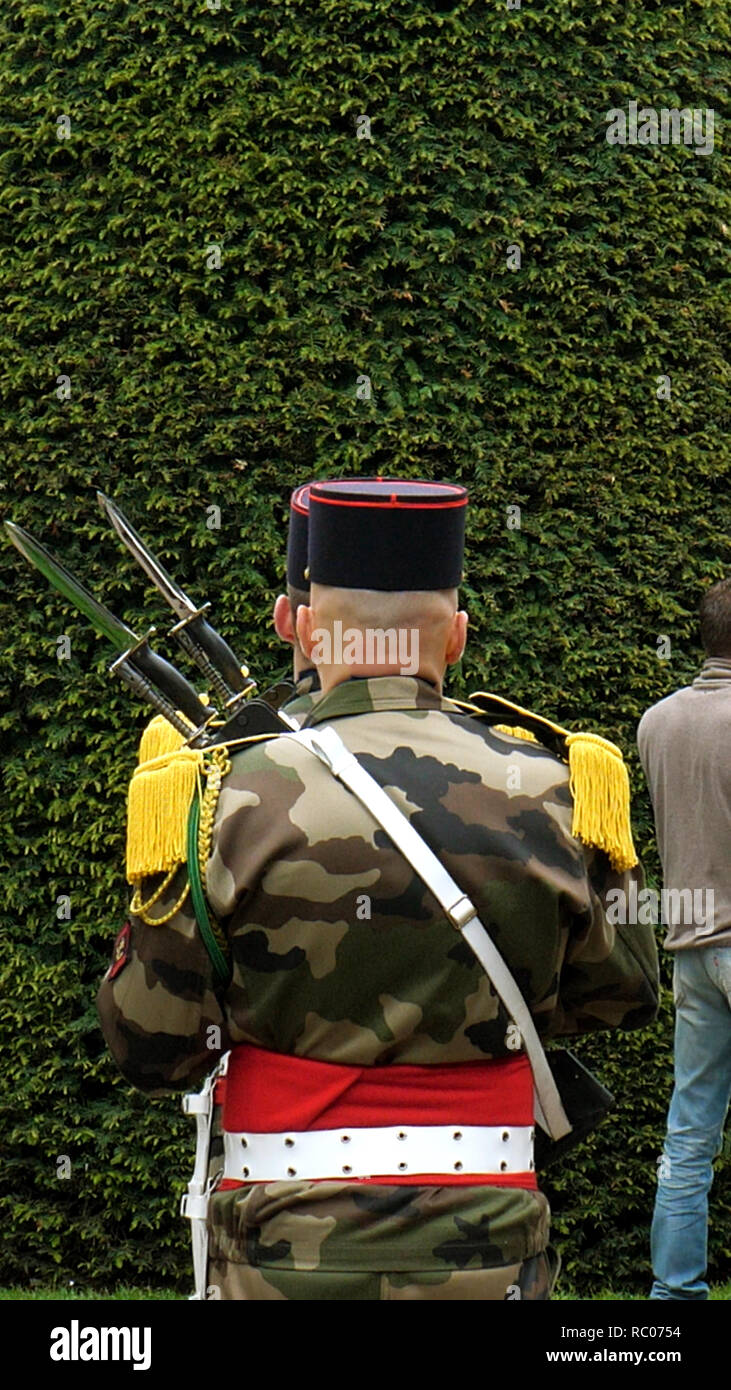 Rear view of unrecognizable solider at Ceremony to mark Western allies ...