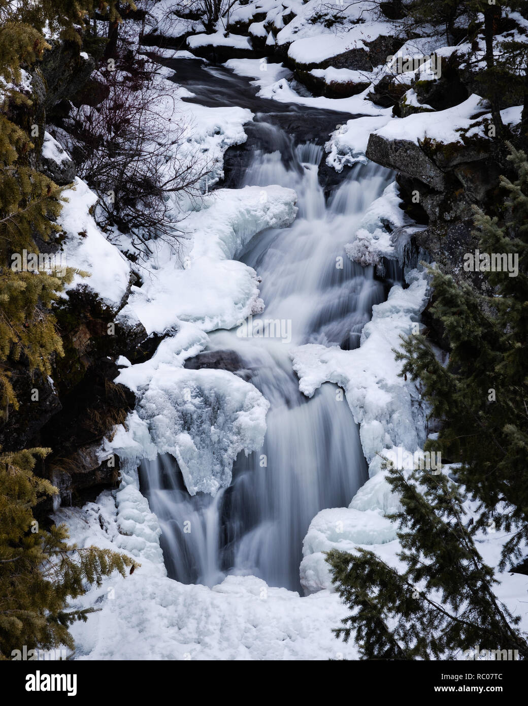 Fall in snow hi-res stock photography and images - Alamy