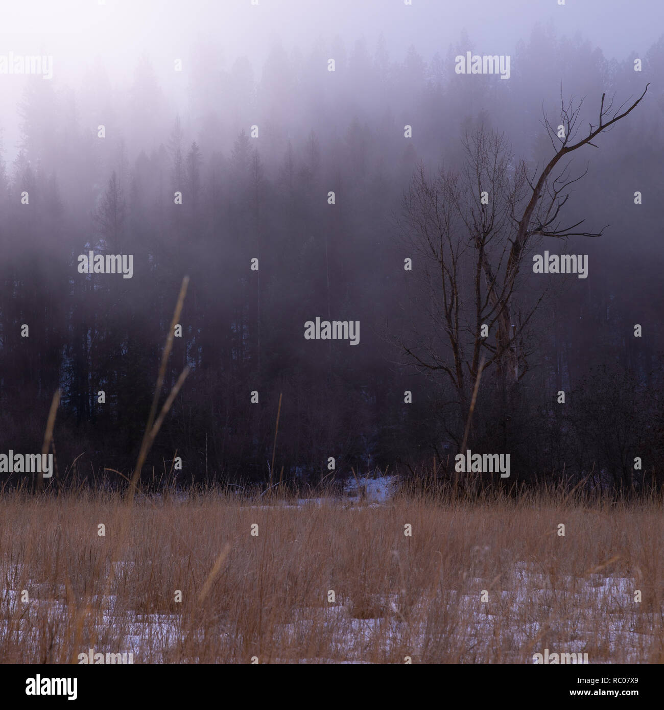 Hill meadow mist hi-res stock photography and images - Alamy