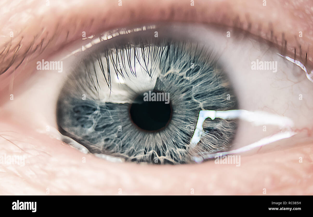 Close up of a man's light blue colored eye Stock Photo - Alamy