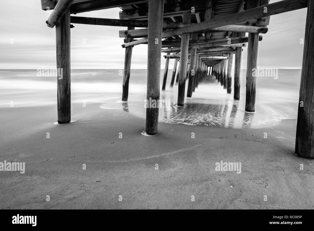 As the sun rises behind the Sandbridge Fishing Pier, the waves crash ...