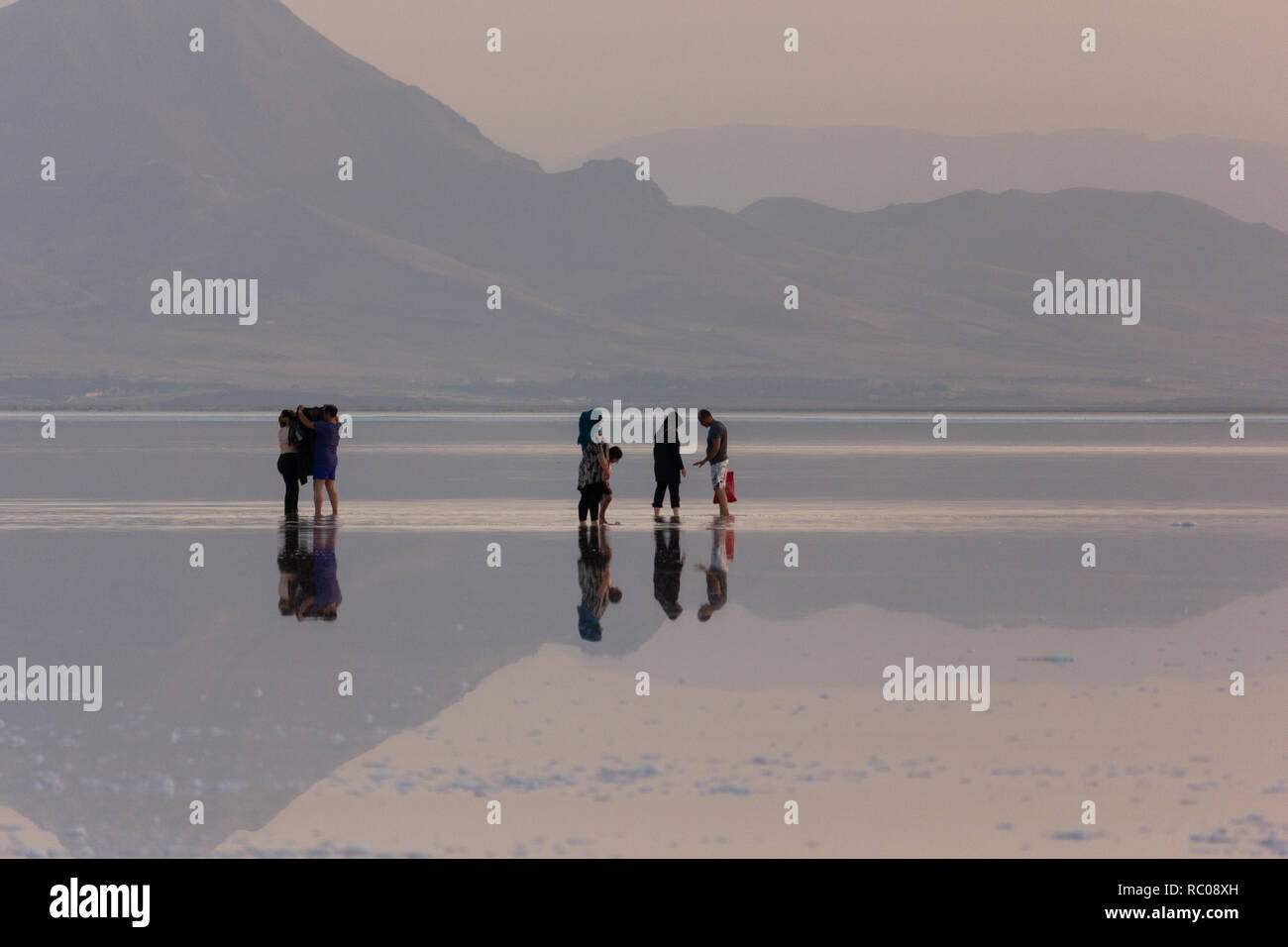 Shallow water environment hi-res stock photography and images - Alamy