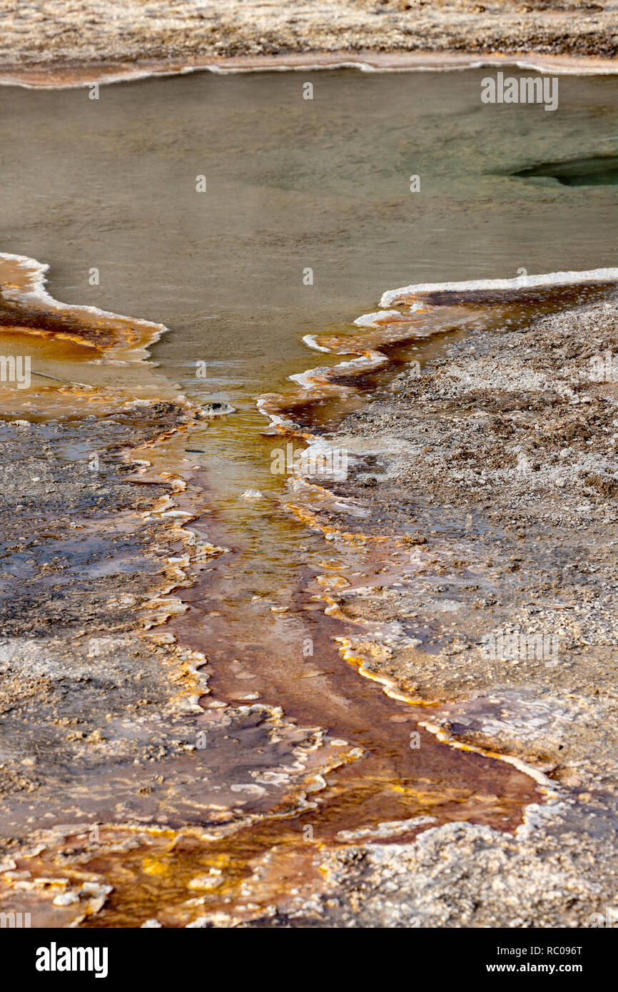 Ear Spring in Yellowstone National Park, Wyoming, USA Stock Photo - Alamy