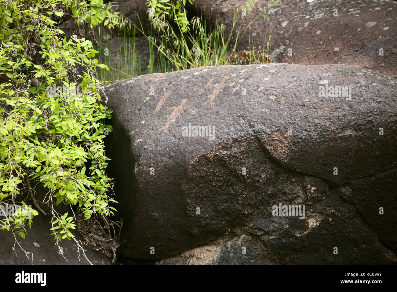 Native American petroglyphs at Buffalo Eddy in the Snake River in Hells ...